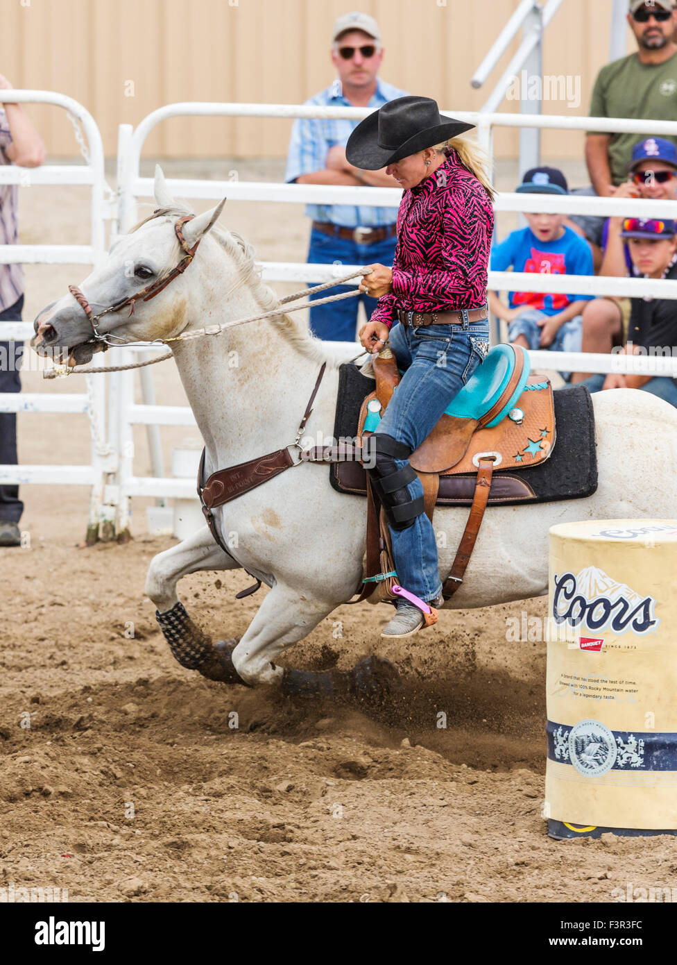 Rodeo cowgirl on horseback competing in barrel racing event, Chaffee ...