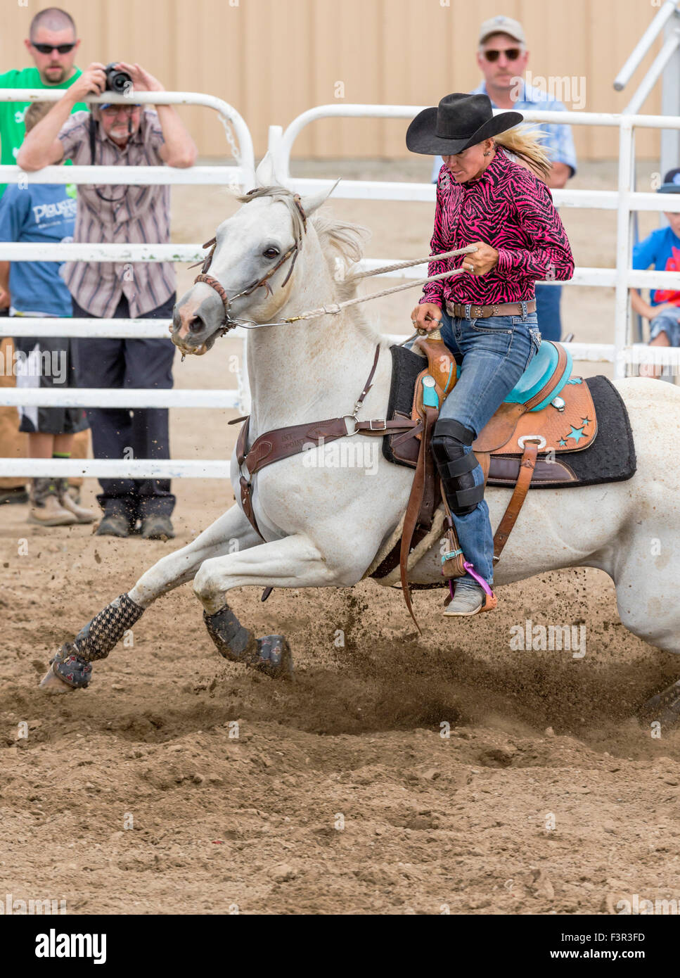 Rodeo cowgirl on horseback competing in barrel racing event, Chaffee ...