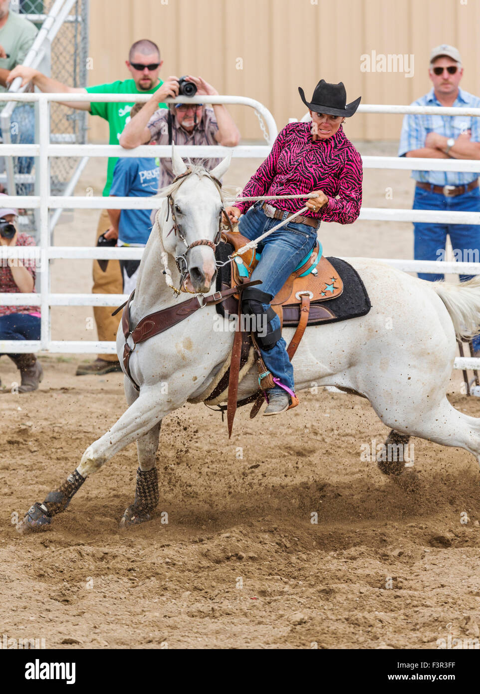Rodeo cowgirl on horseback competing in barrel racing event, Chaffee ...