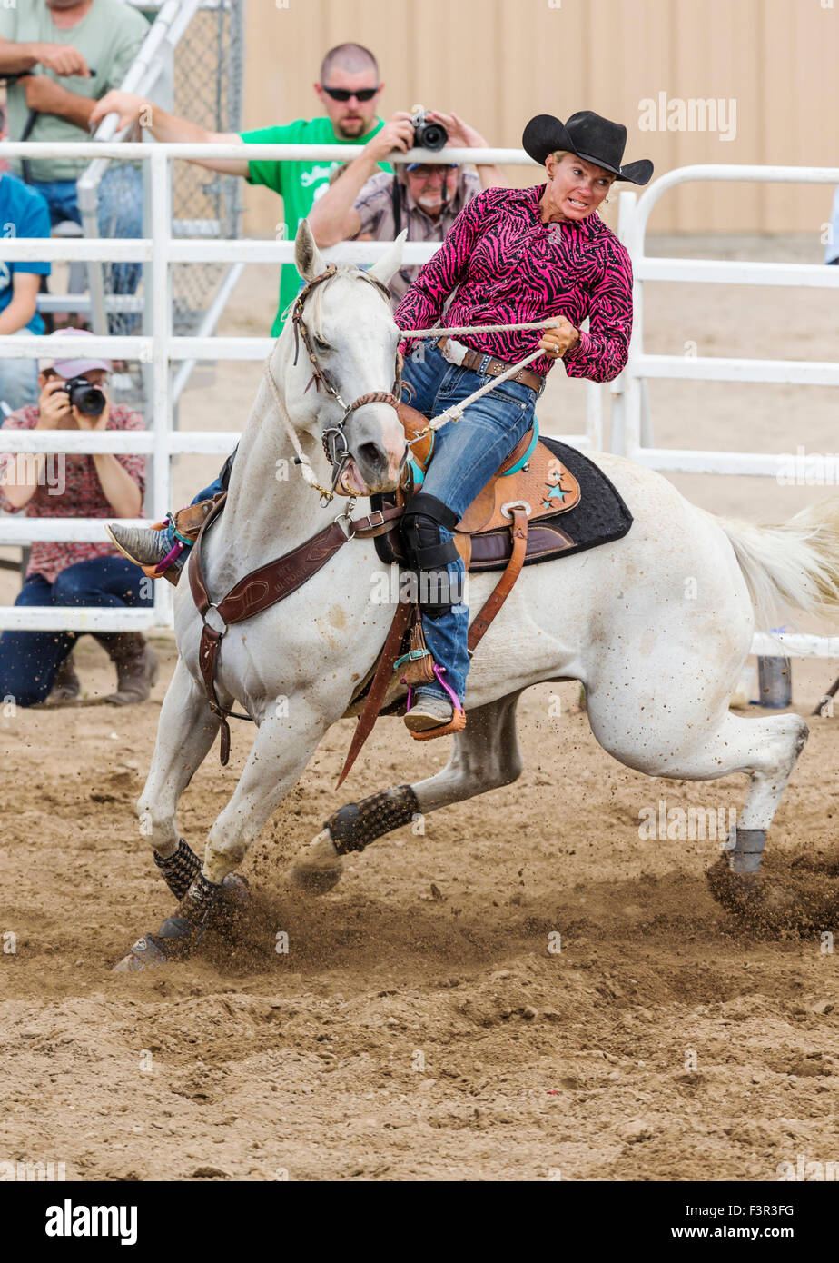 Rodeo cowgirl on horseback competing in barrel racing event, Chaffee ...
