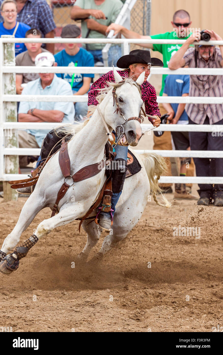 Rodeo cowgirl on horseback competing in barrel racing event, Chaffee ...
