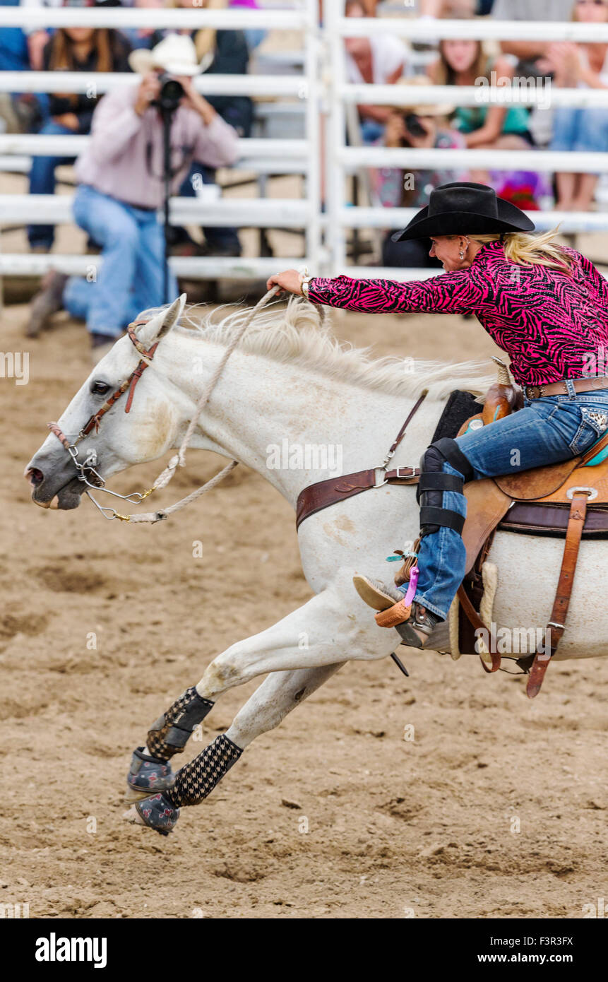 Rodeo cowgirl on horseback competing in barrel racing event, Chaffee ...