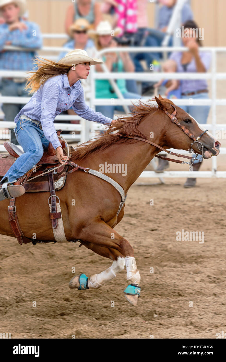 Rodeo cowgirl on horseback competing in barrel racing event, Chaffee ...