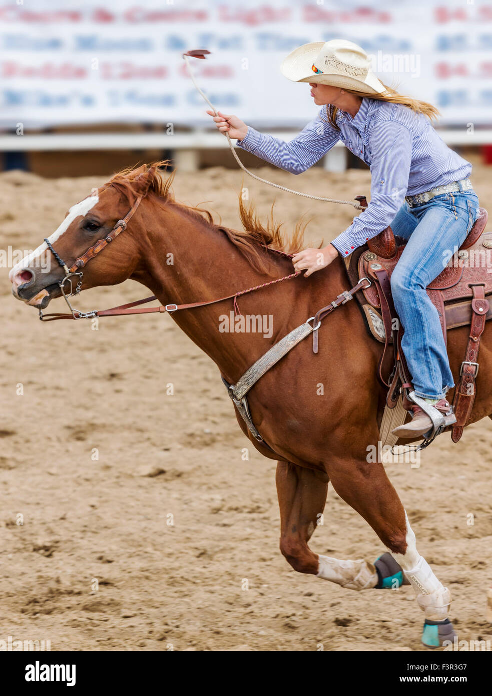 Rodeo cowgirl on horseback competing in barrel racing event, Chaffee ...