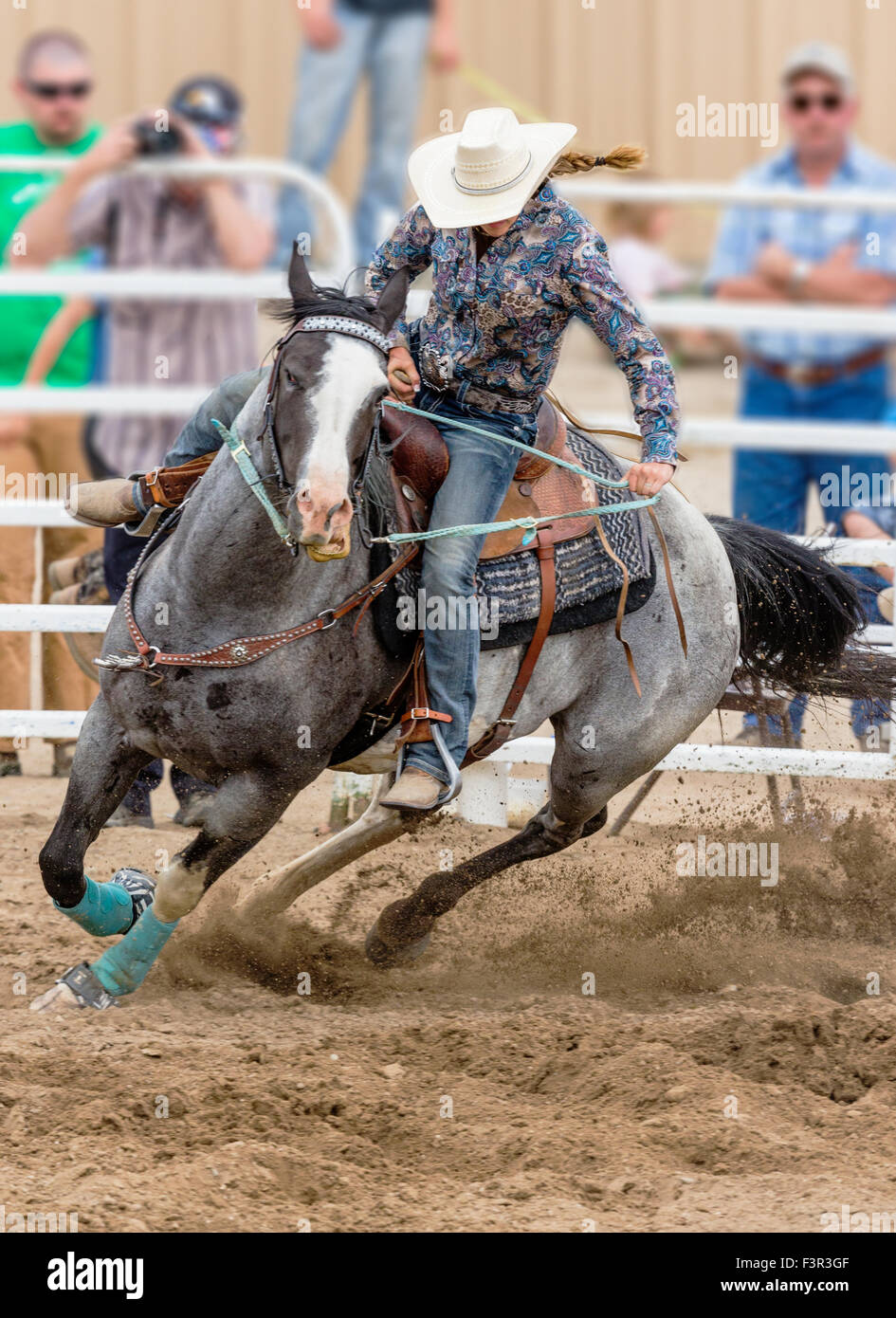 Rodeo cowgirl on horseback competing in barrel racing event, Chaffee ...