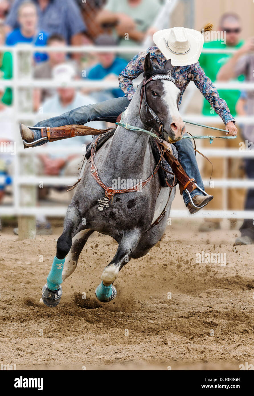 Rodeo cowgirl on horseback competing in barrel racing event, Chaffee ...