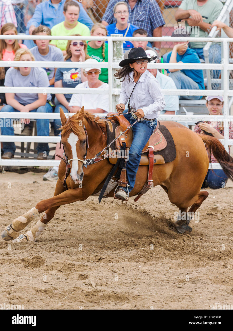 Rodeo cowgirl on horseback competing in barrel racing event, Chaffee ...