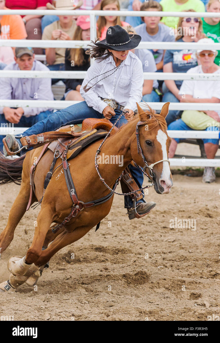 Rodeo cowgirl on horseback competing in barrel racing event, Chaffee ...