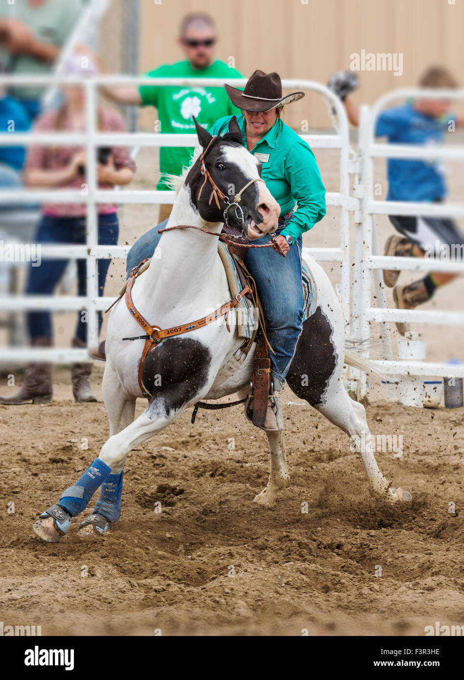 Rodeo cowgirl on horseback competing in barrel racing event, Chaffee ...