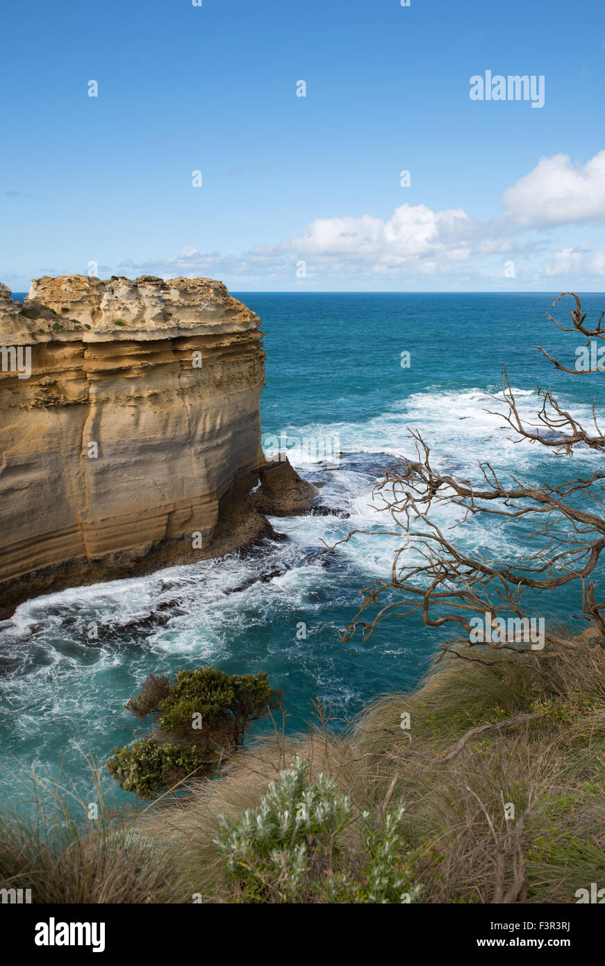 The Razorback limestone rock formation, adjacent to the Great Ocean ...