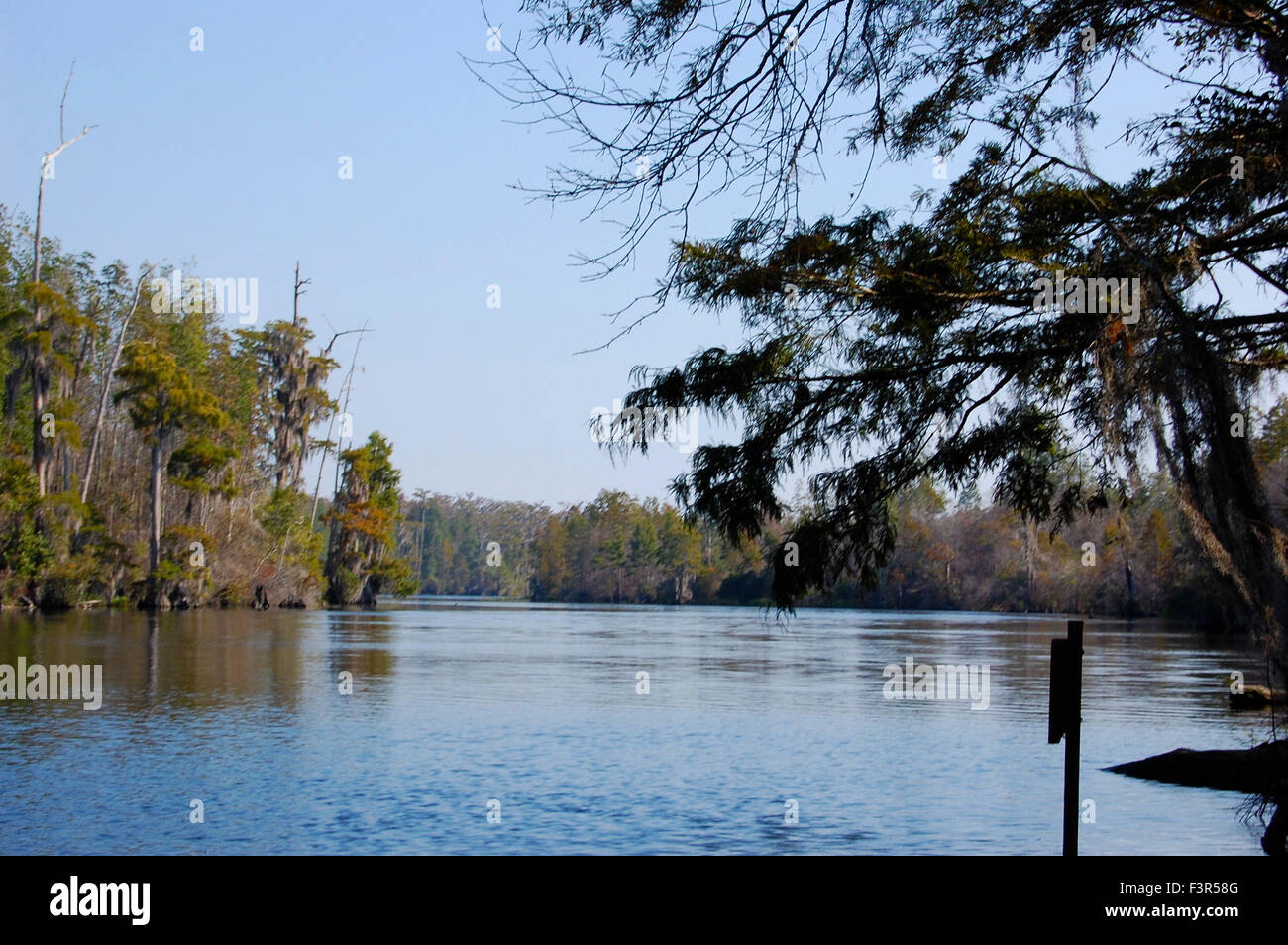 Okefenokee swamp kayak hi-res stock photography and images - Alamy