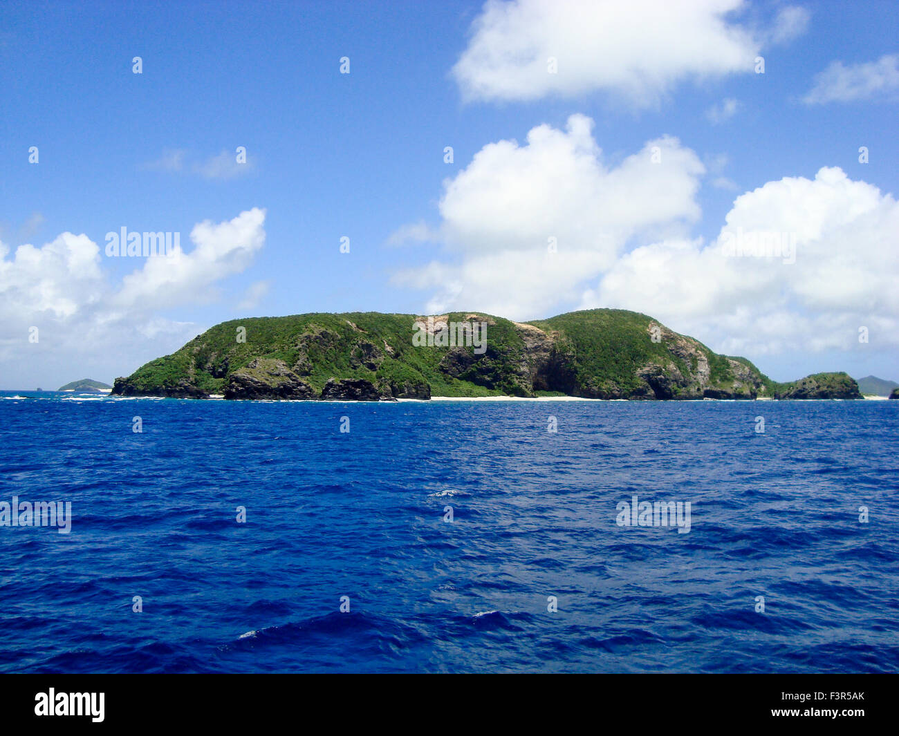 Okinawa forest hi-res stock photography and images - Alamy
