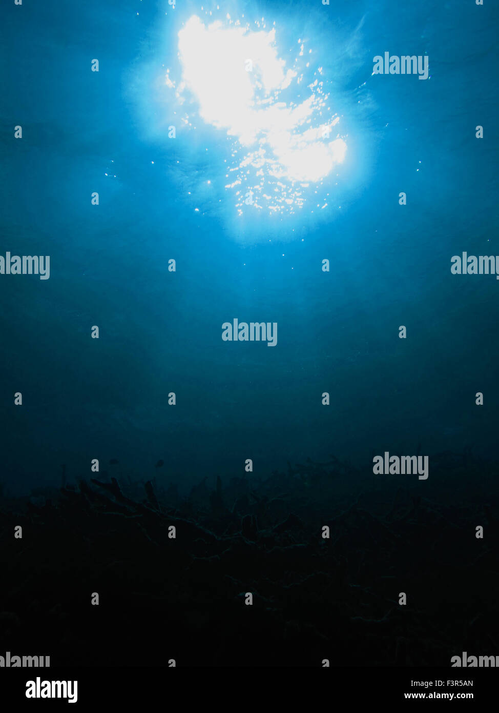 Reef view hi-res stock photography and images - Alamy