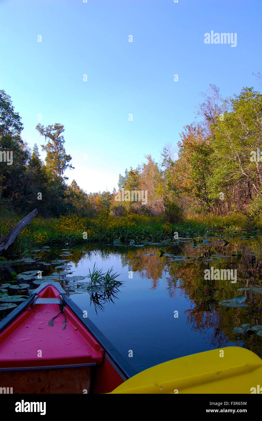 Okefenokee Swamp, Georgia, USA Stock Photo - Alamy
