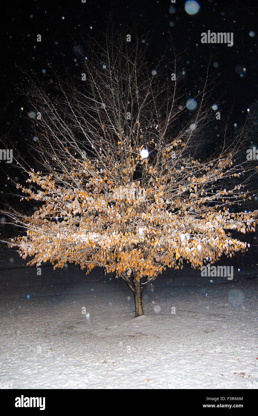 Snow at night Stock Photo - Alamy