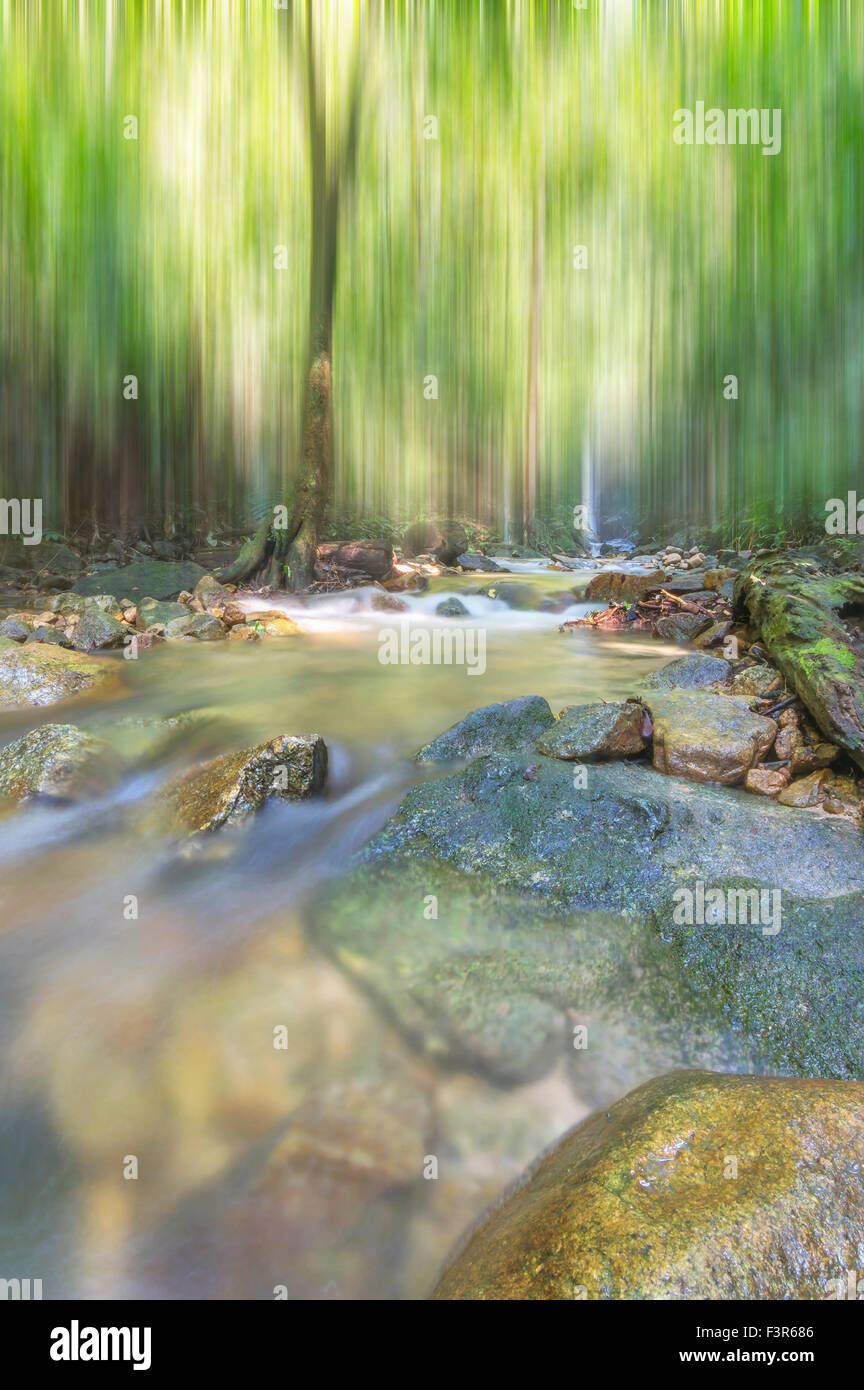 Water stream at deep of tropical forest Stock Photo - Alamy