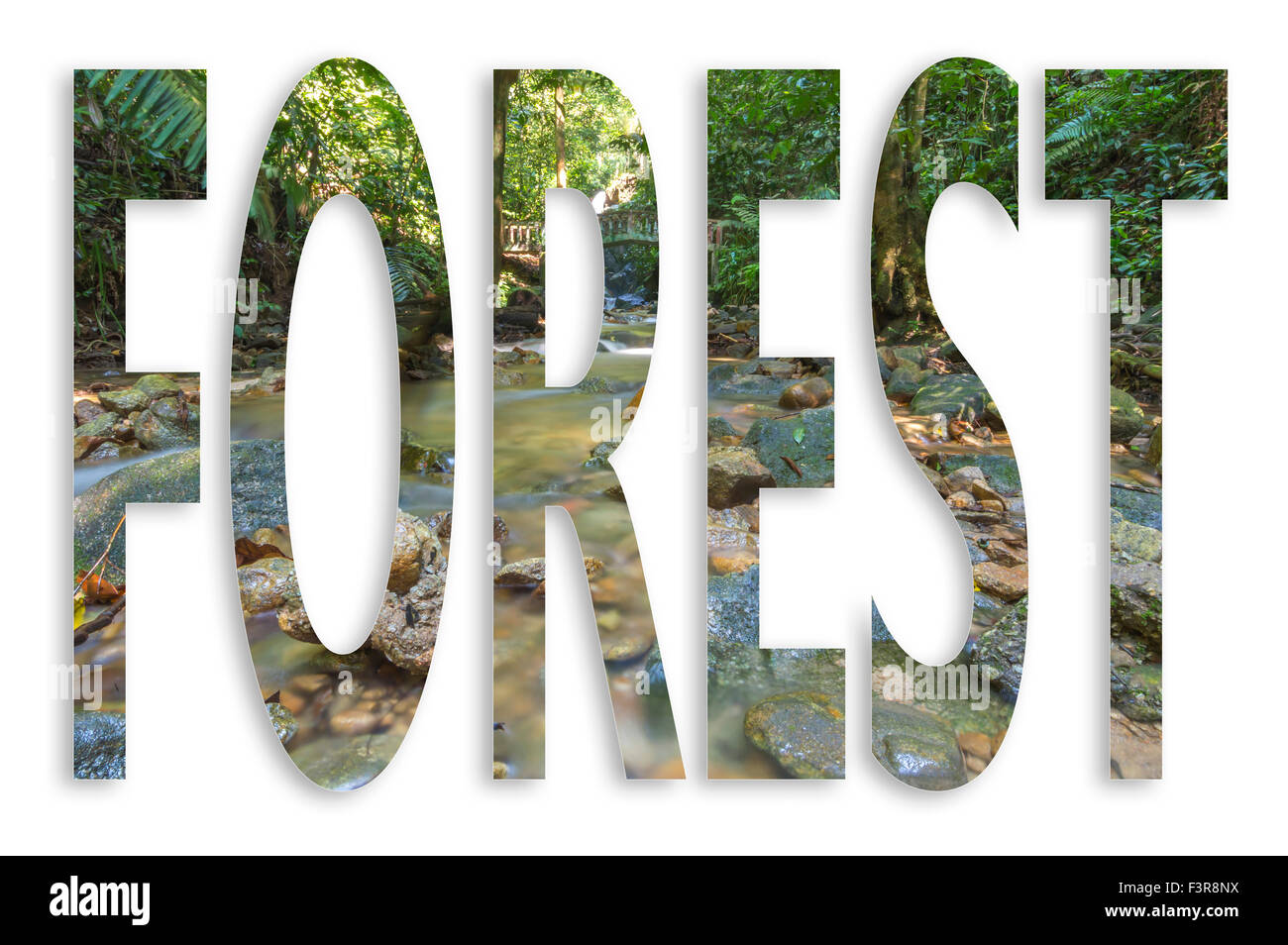 Spring forest stream river Cut Out Stock Images & Pictures - Alamy