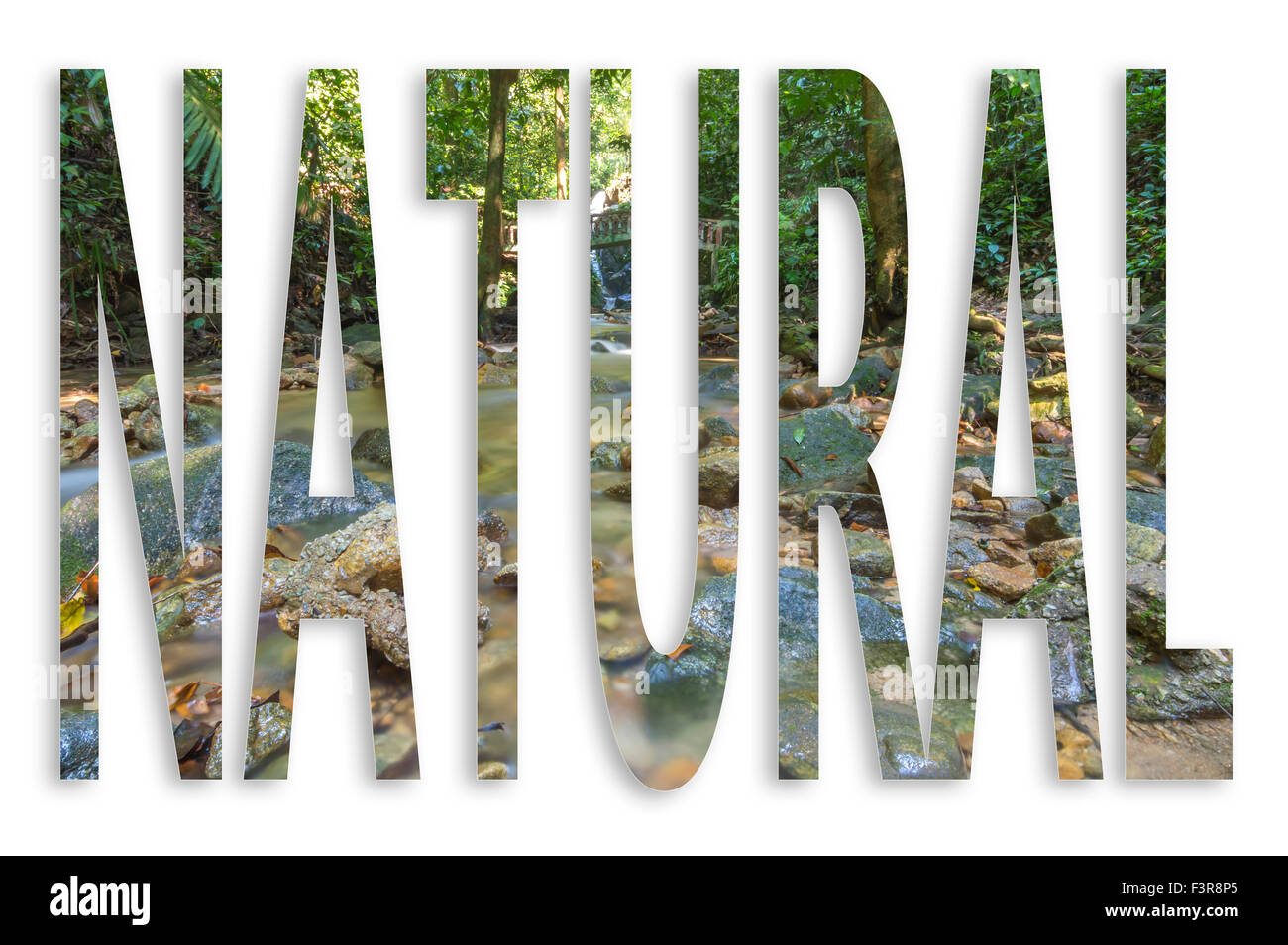 Spring forest stream river Cut Out Stock Images & Pictures - Alamy