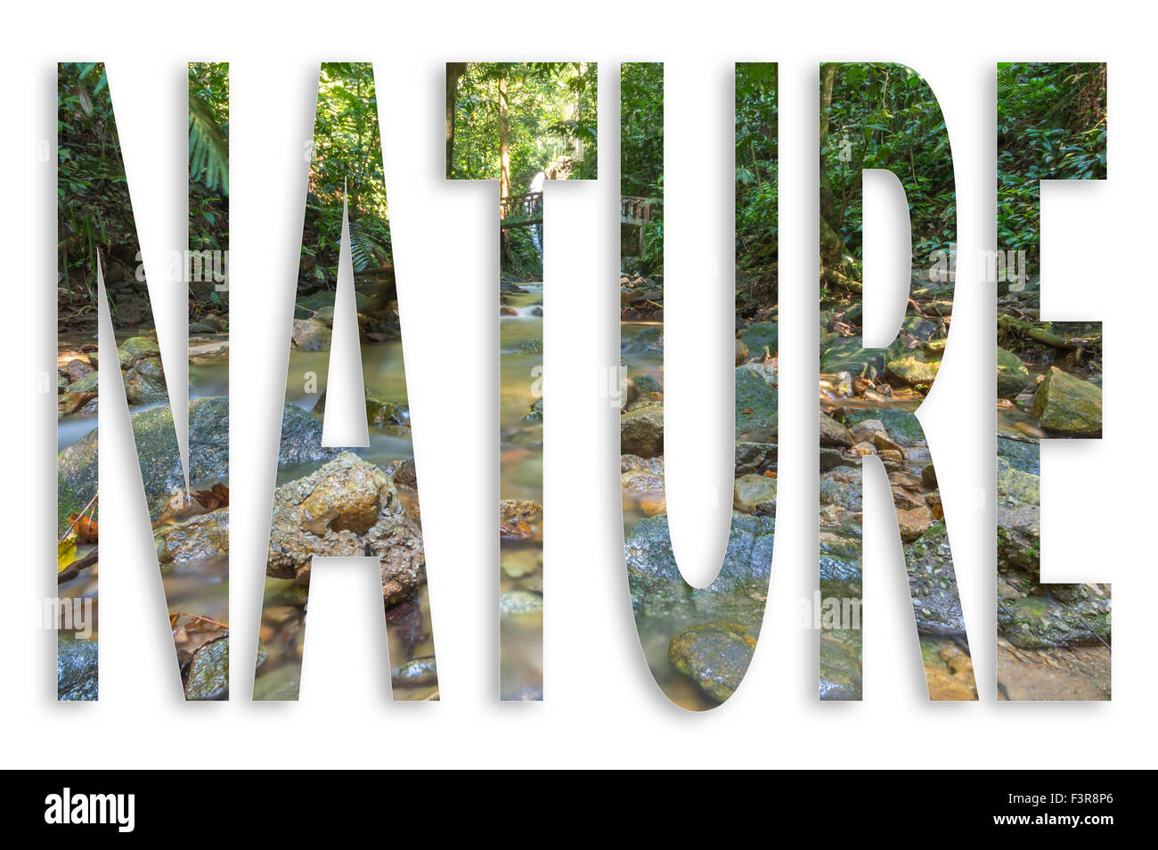 Forest brook water stream Cut Out Stock Images & Pictures - Alamy