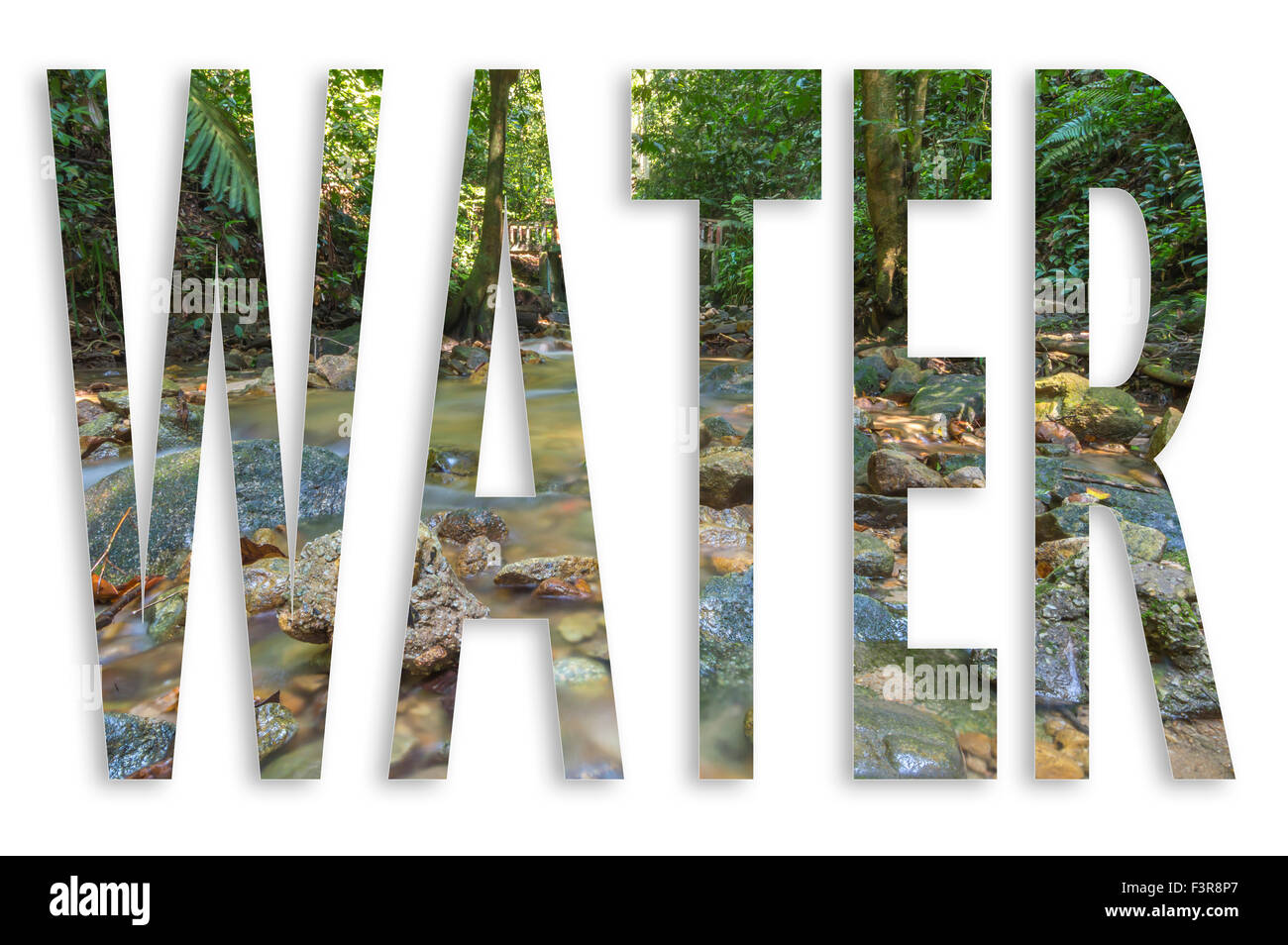 Forest brook water stream Cut Out Stock Images & Pictures - Alamy