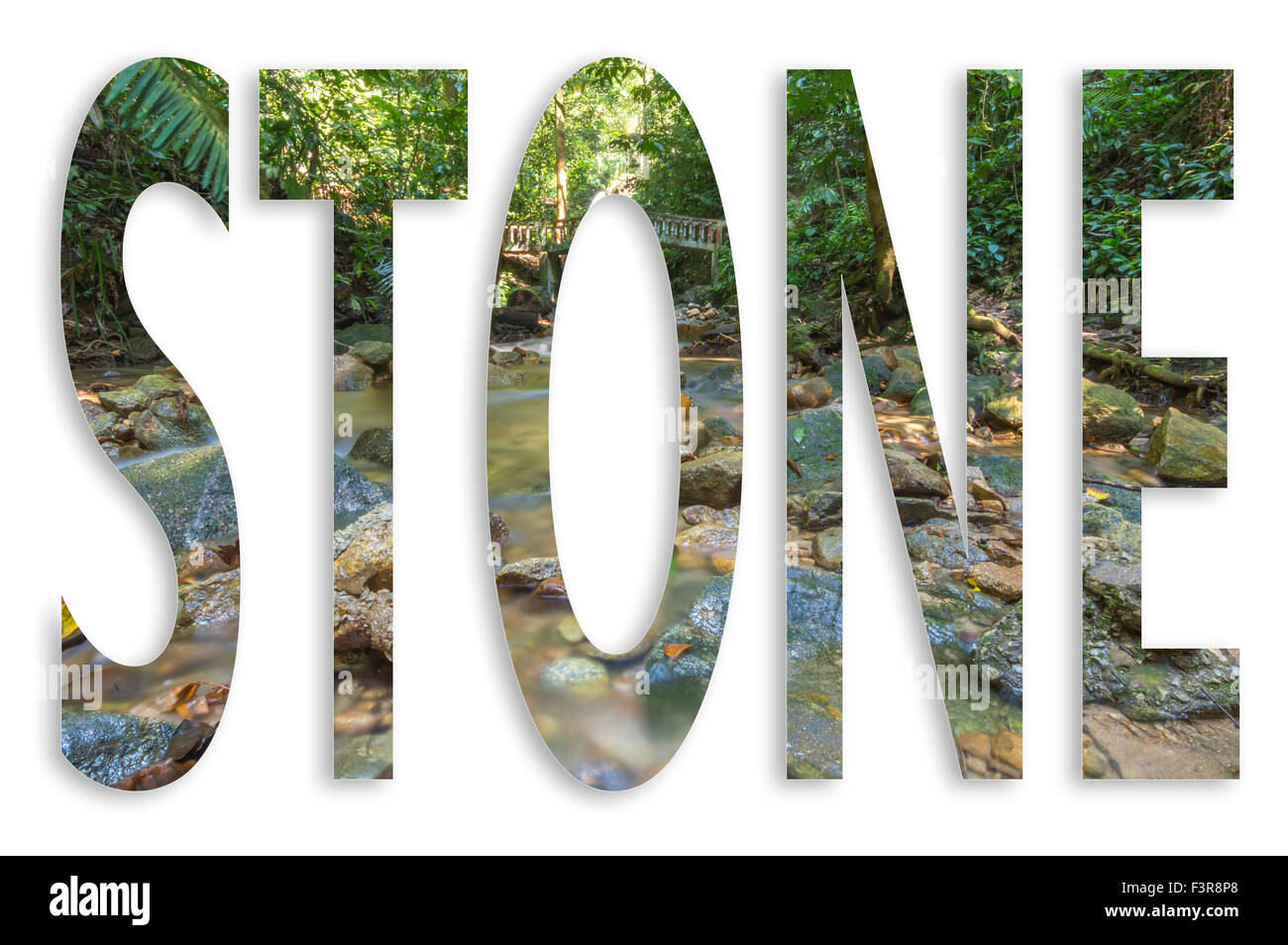 Forest brook water stream Cut Out Stock Images & Pictures - Alamy