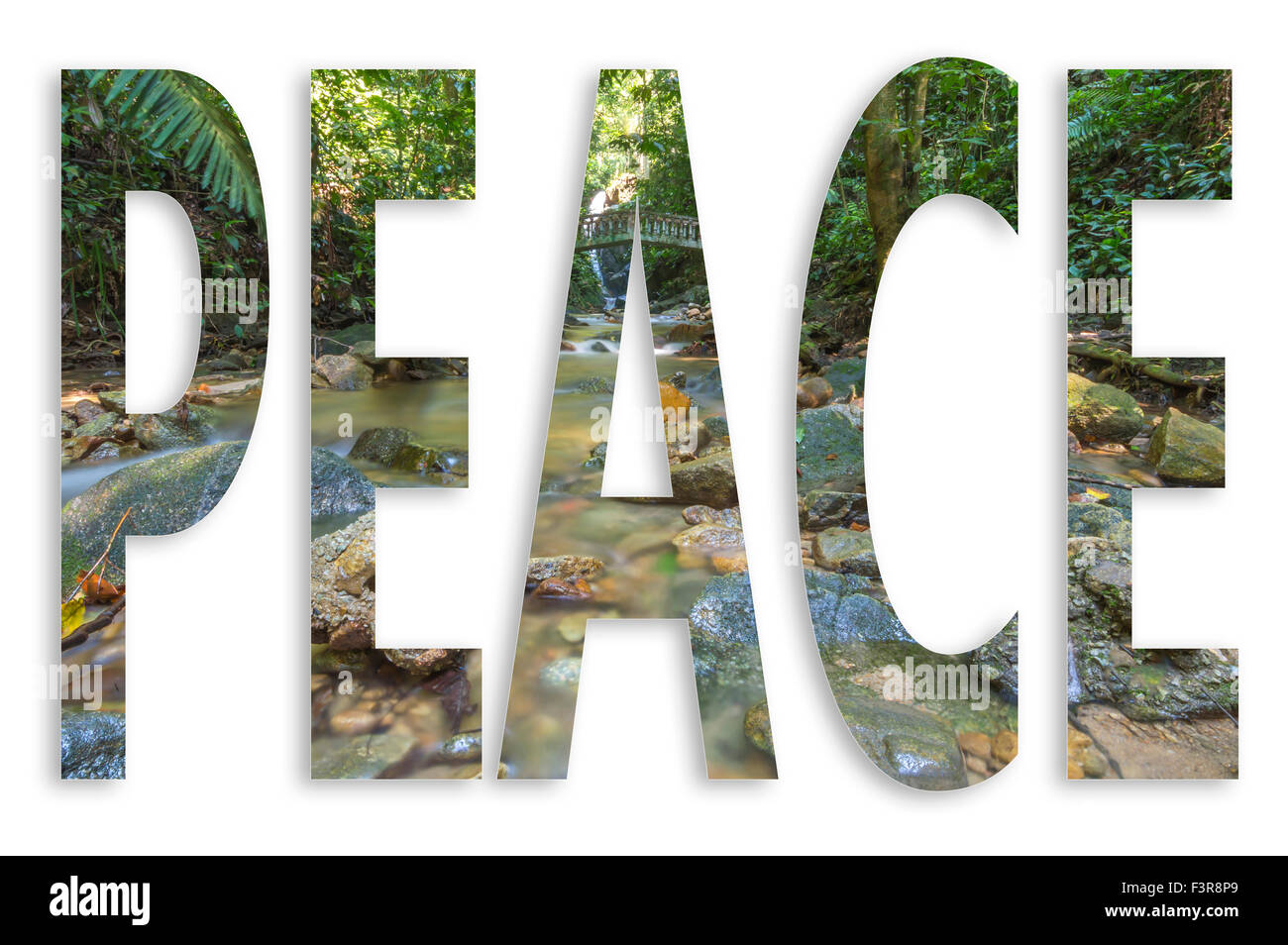 Jungle stream river Cut Out Stock Images & Pictures - Alamy