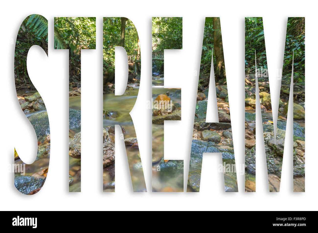 Spring forest stream river Cut Out Stock Images & Pictures - Alamy