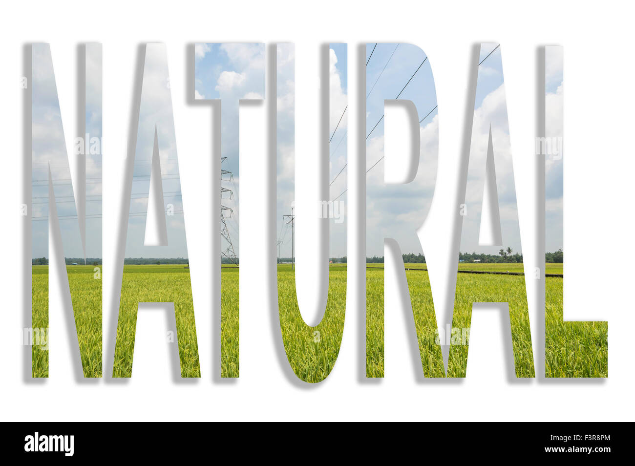 electricity high voltage power post in paddy field Stock Photo - Alamy