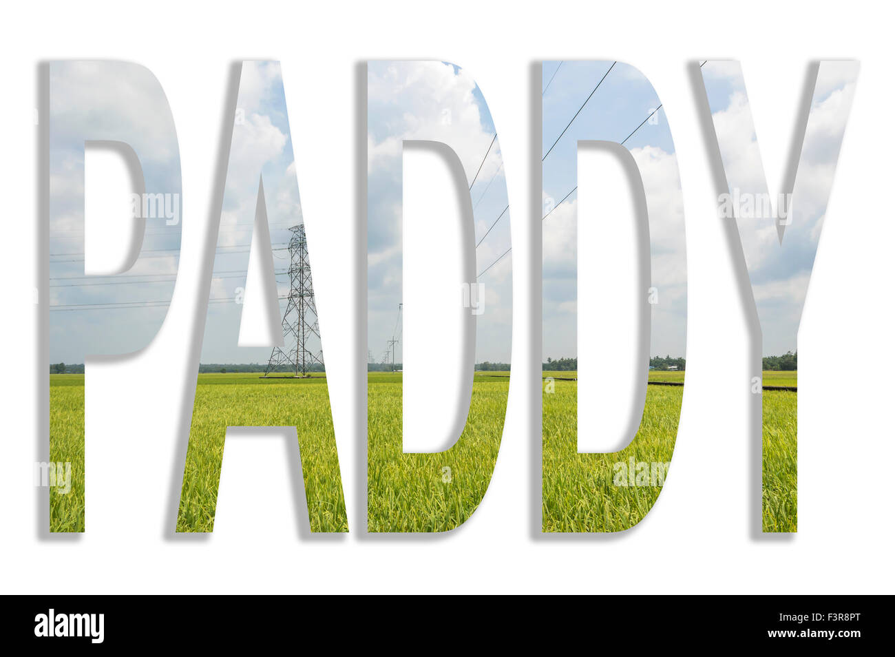 electricity high voltage power post in paddy field Stock Photo - Alamy