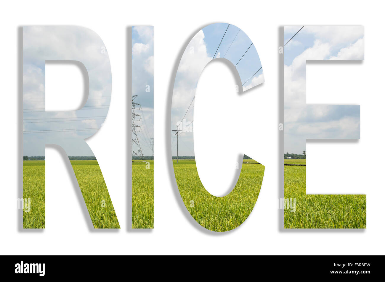 electricity high voltage power post in paddy field Stock Photo - Alamy