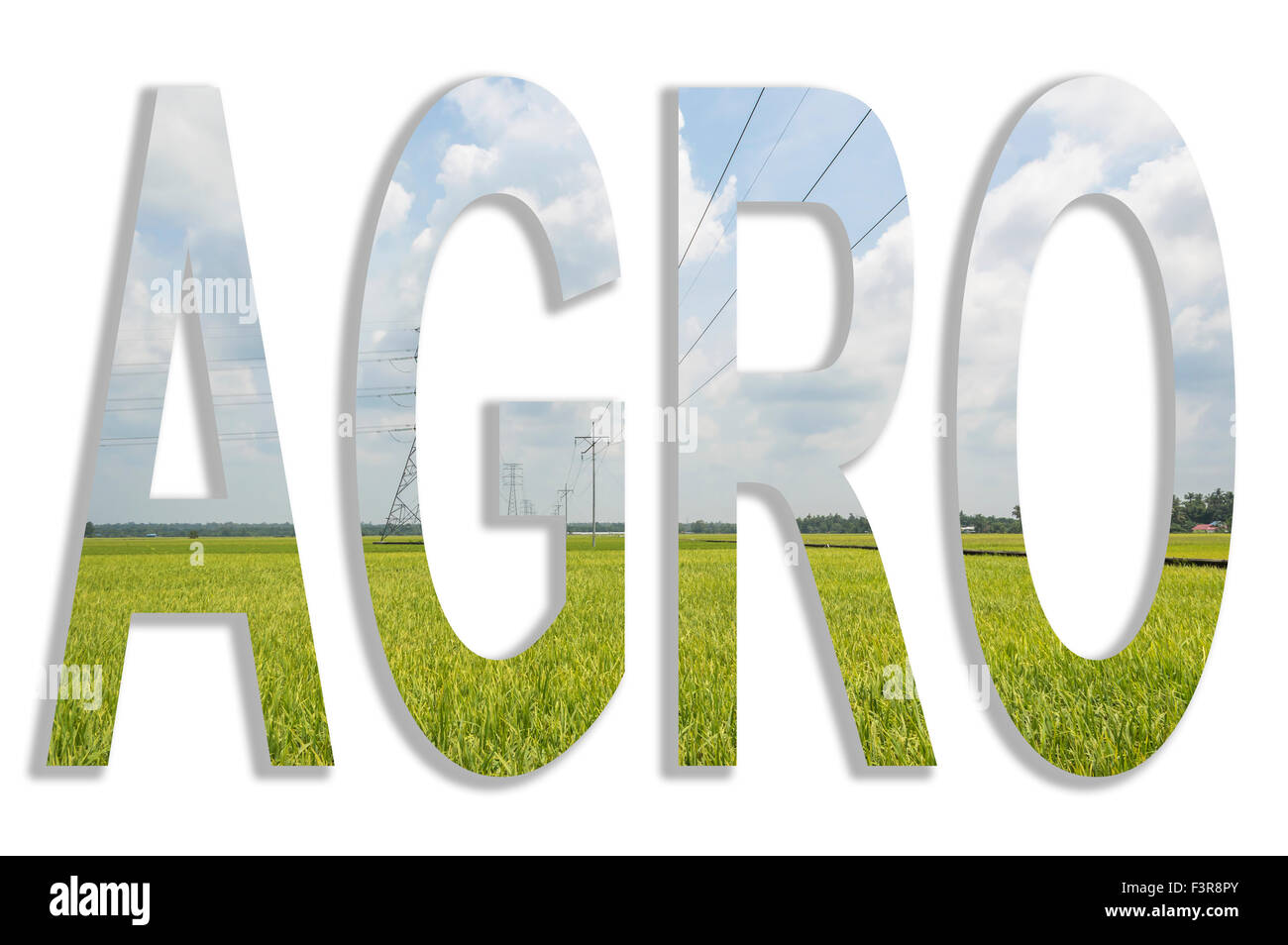 electricity high voltage power post in paddy field Stock Photo - Alamy