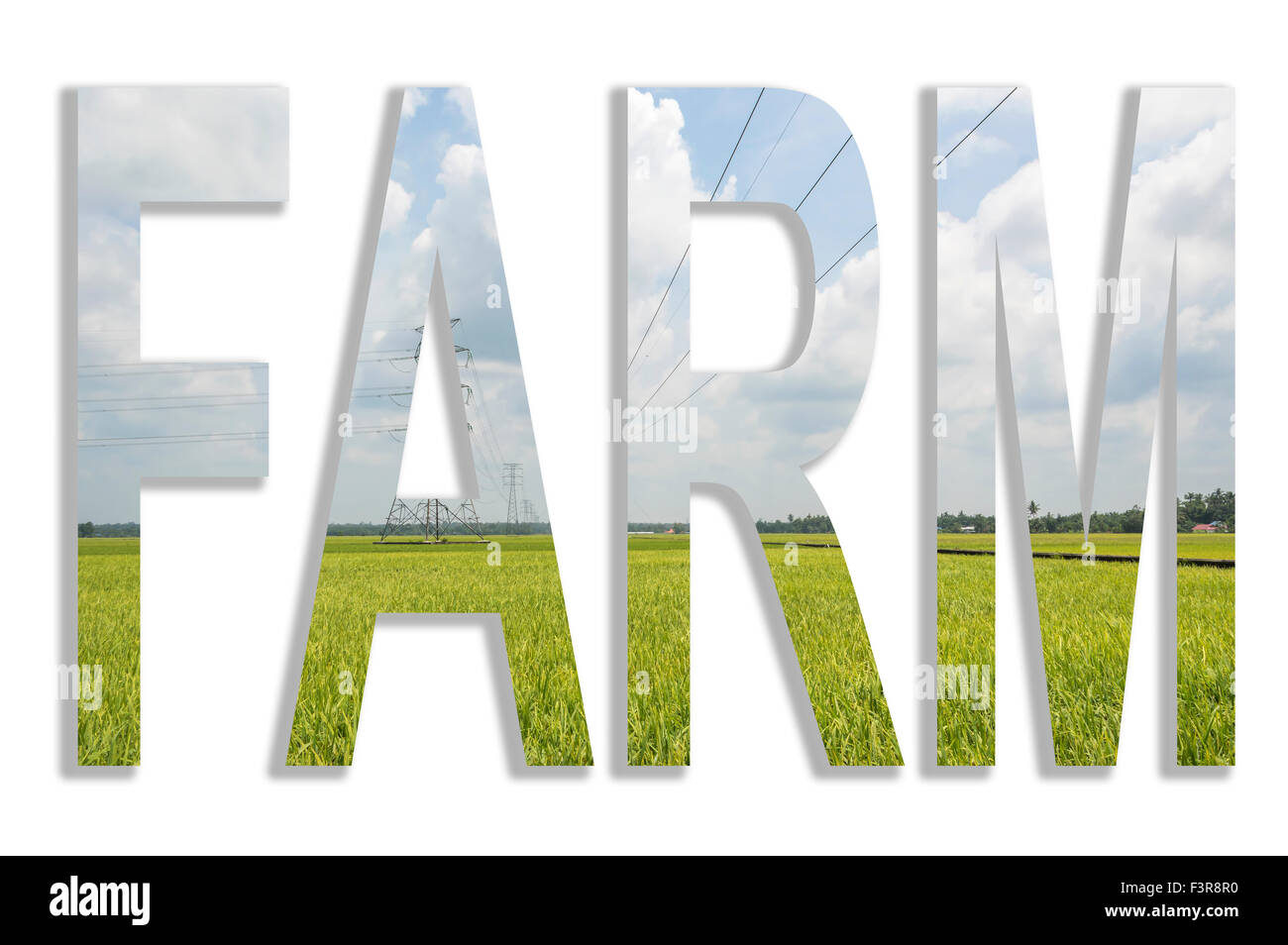 electricity high voltage power post in paddy field Stock Photo - Alamy