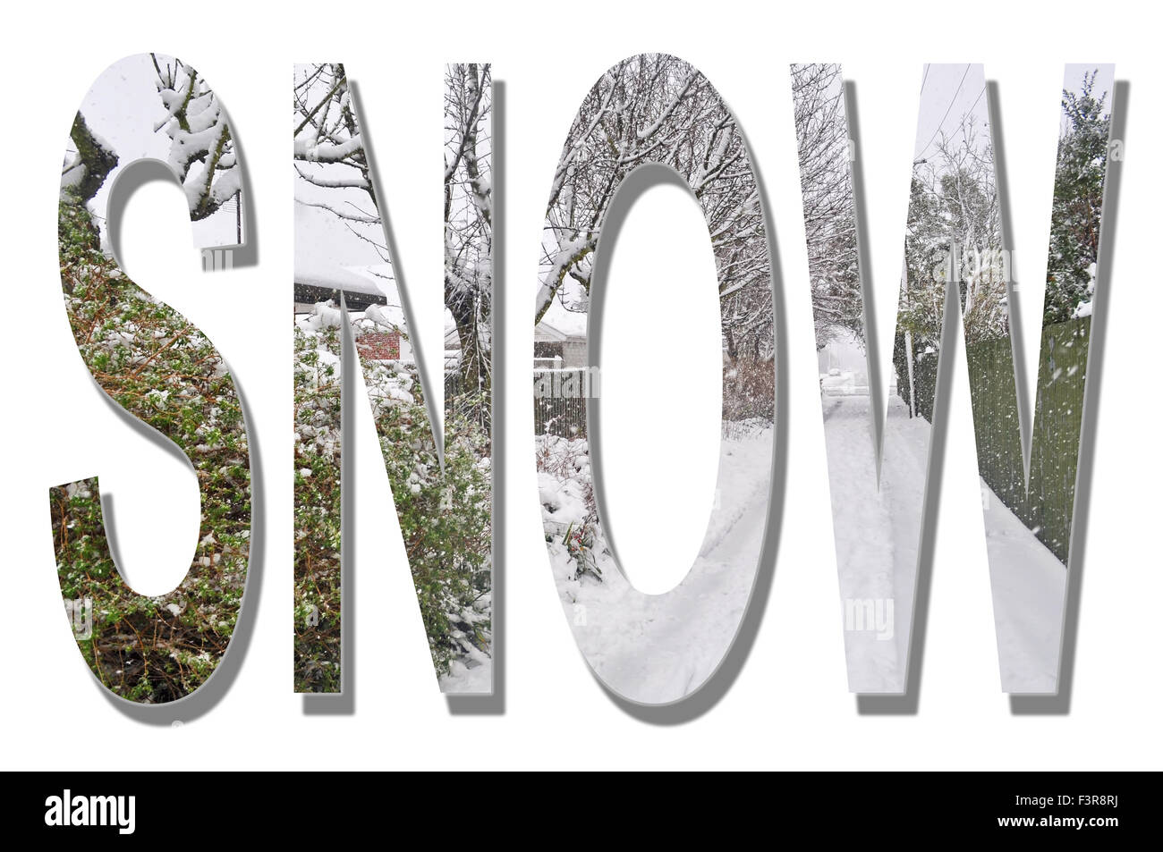 Frozen winter branches Cut Out Stock Images & Pictures - Alamy