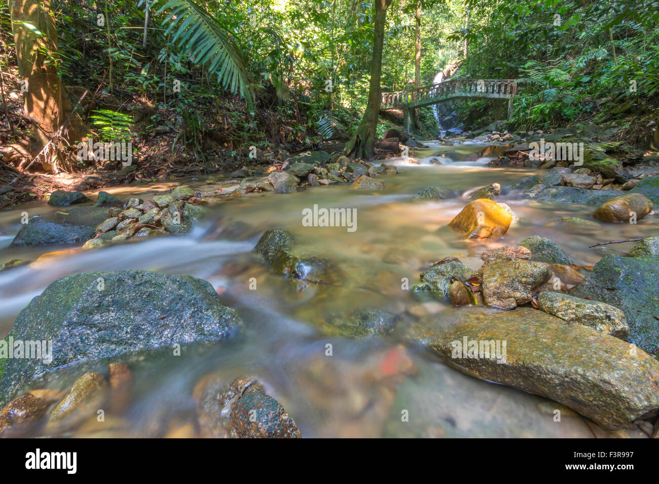 Water stream at deep of tropical forest Stock Photo - Alamy