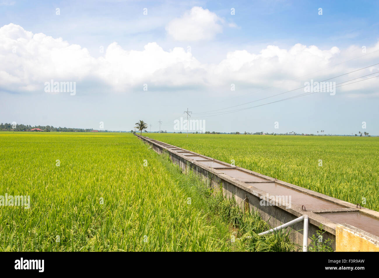 Water canal for paddy rice field irrigation with blue skies Stock Photo ...