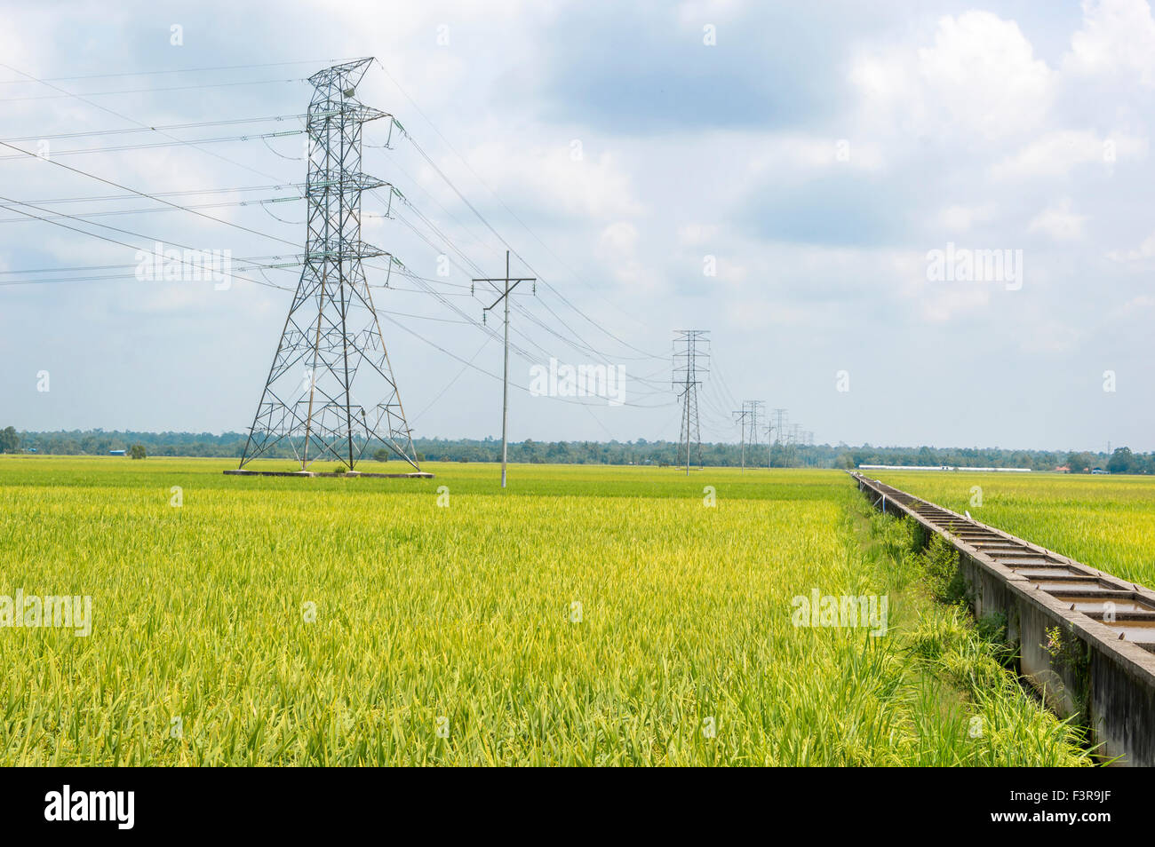 electricity high voltage power post and water canal irrigation in paddy ...