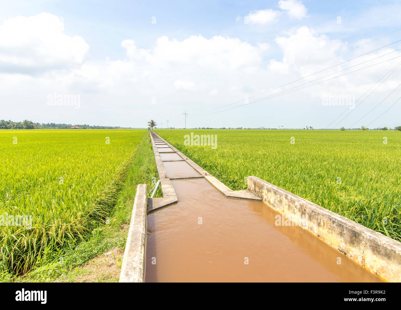 Water canal for paddy rice field irrigation with blue skies Stock Photo ...