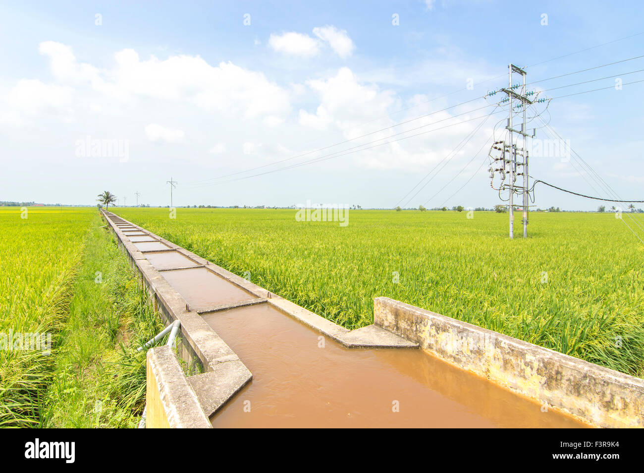 Water canal for paddy rice field irrigation with blue skies Stock Photo ...