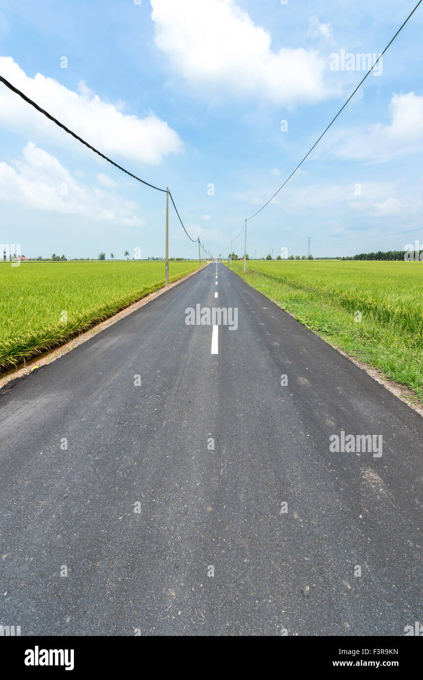 Asphalt road in rural and paddy farm with blue skies in Selangor ...