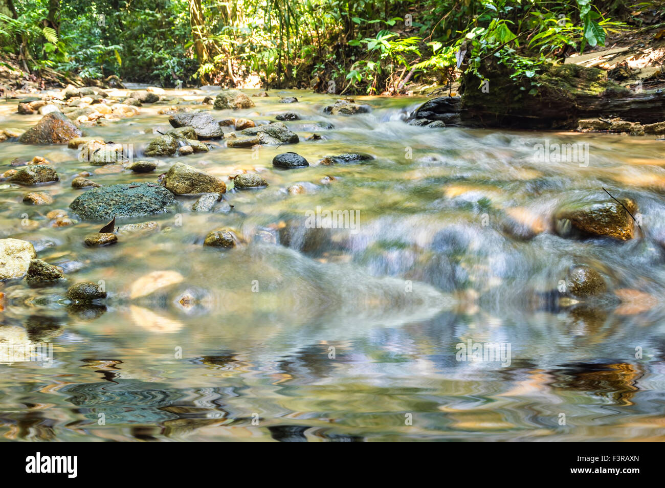 Water stream cascade rock at tropical forest Stock Photo - Alamy