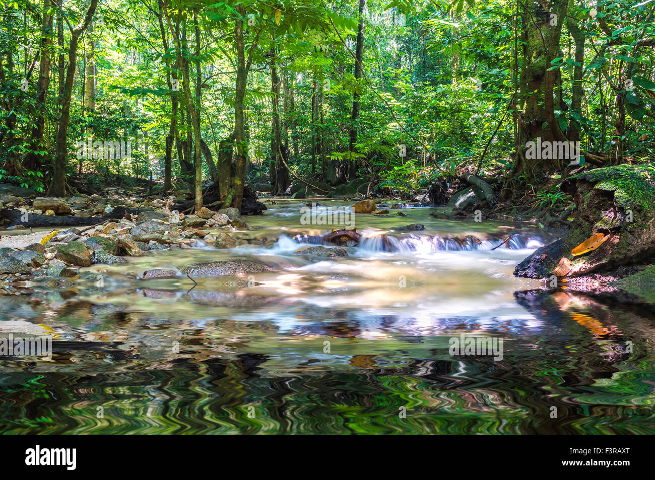 Water stream cascade rock at tropical forest Stock Photo - Alamy