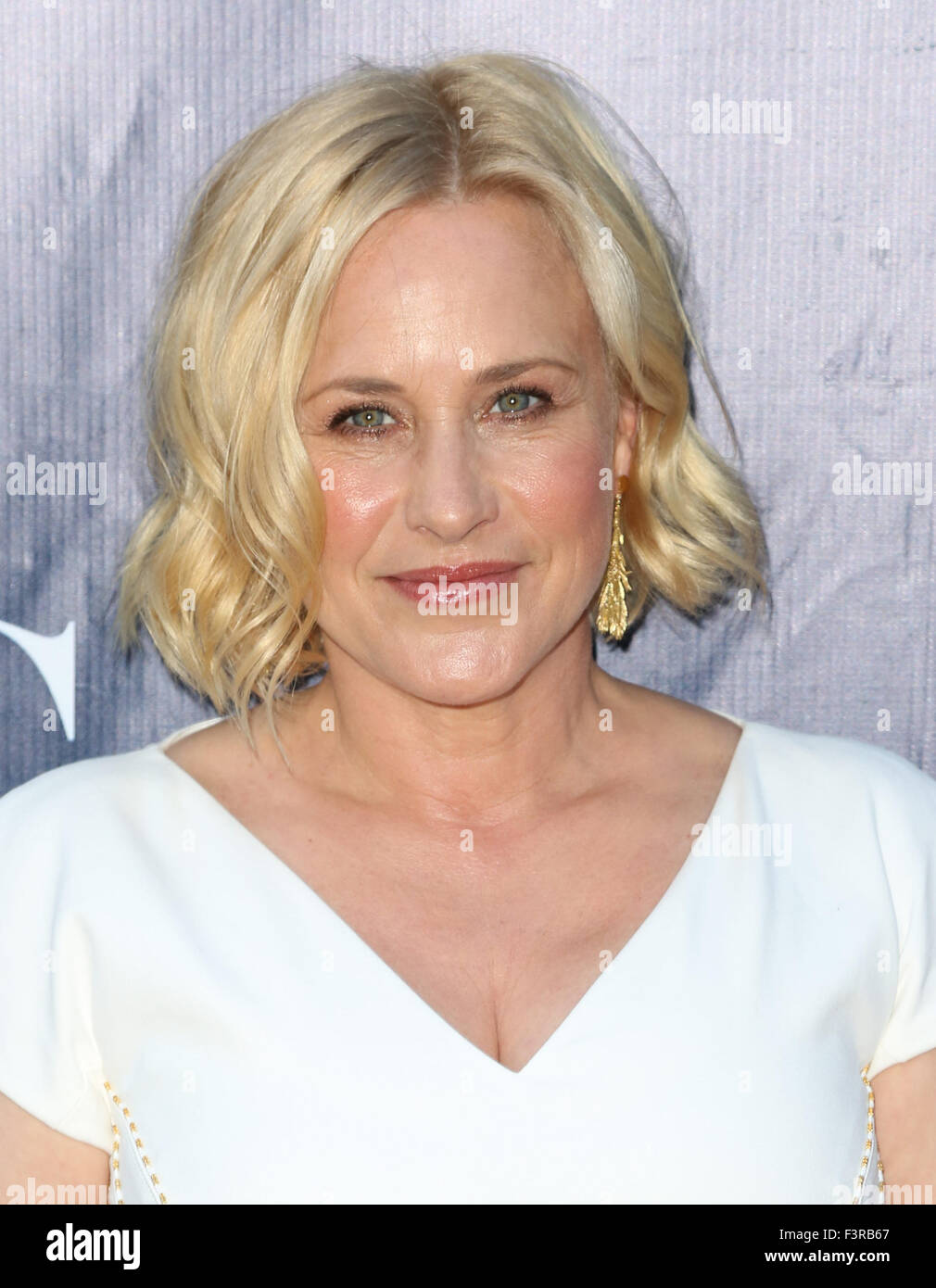 Celebrities attend the CBS, The CW, and Showtime 2015 Summer TCA Party ...