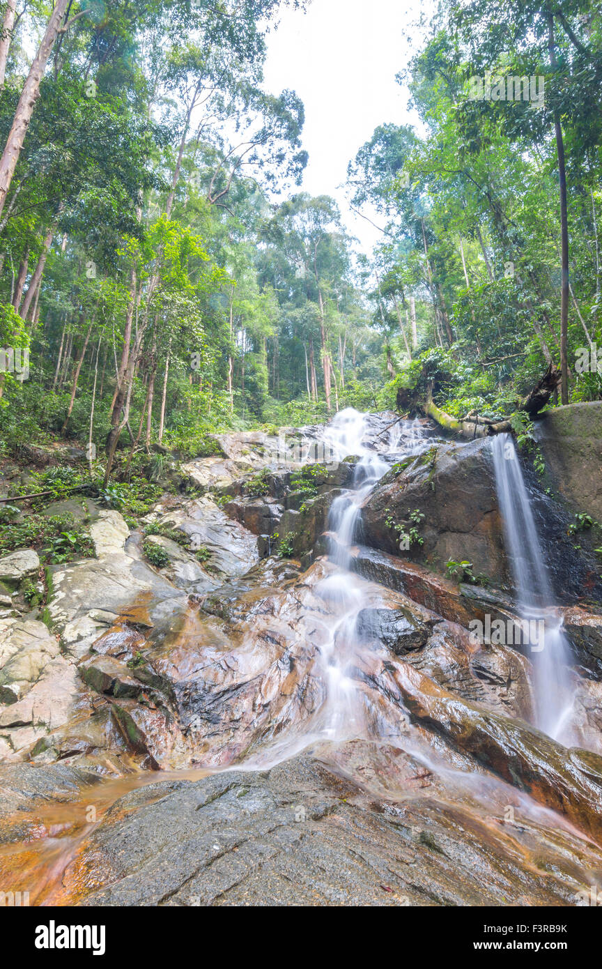 Natural waterfall at tropical forest Stock Photo - Alamy