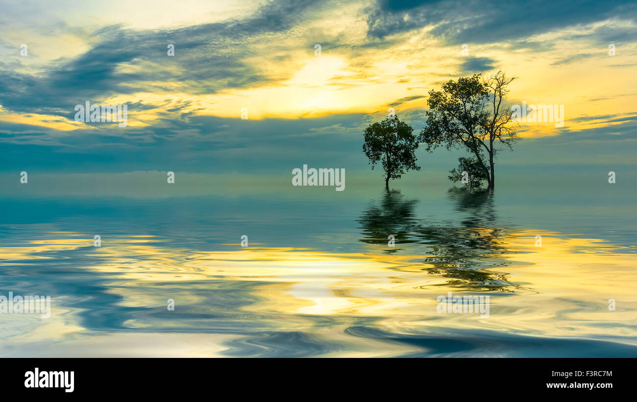 Tree silhouette with orange sunset reflection Stock Photo - Alamy
