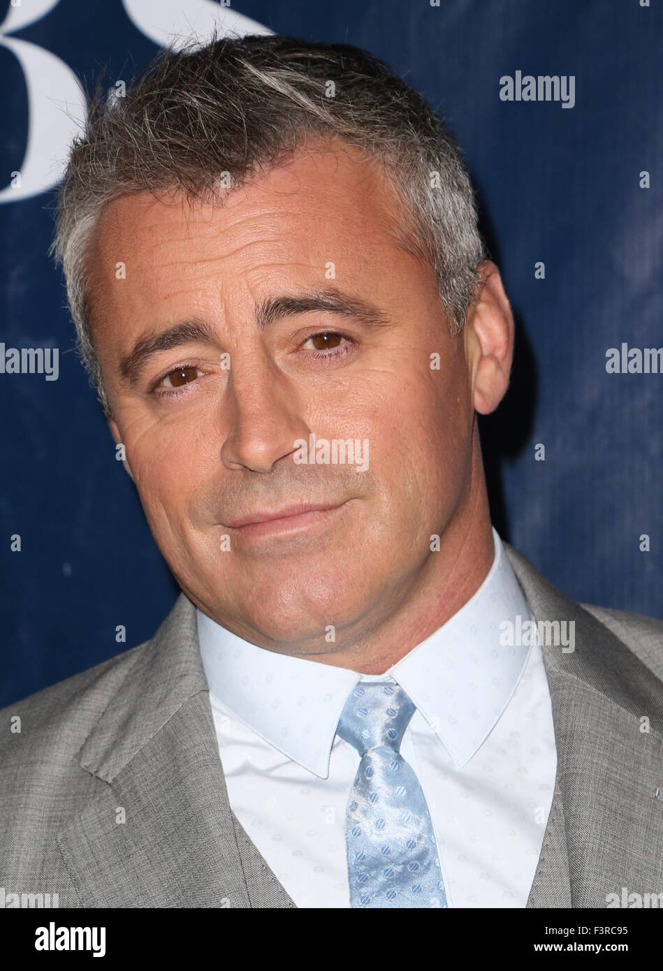 Celebrities attend the CBS, The CW, and Showtime 2015 Summer TCA Party ...