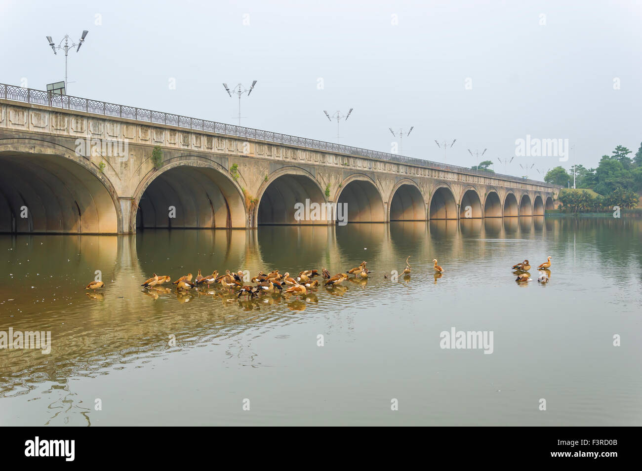 Lake reflection below bridge architecture hi-res stock photography and ...