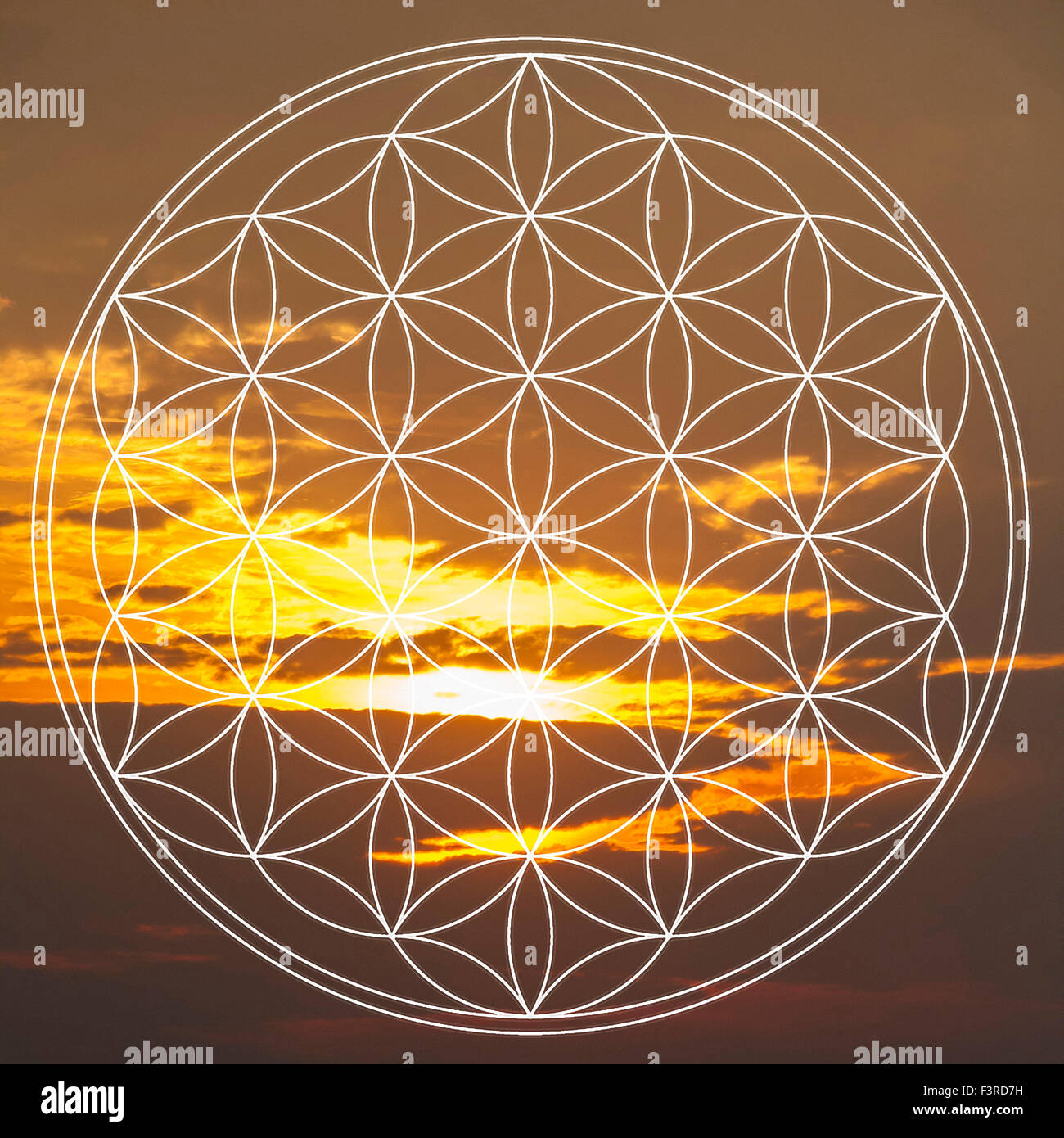 flower of life on sunset background Stock Photo - Alamy