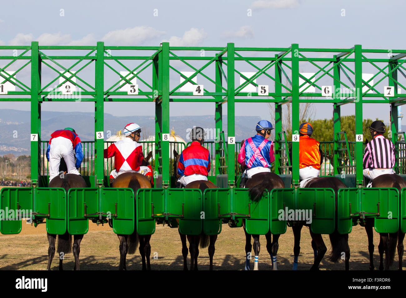 Race horses starting gate hi-res stock photography and images - Alamy