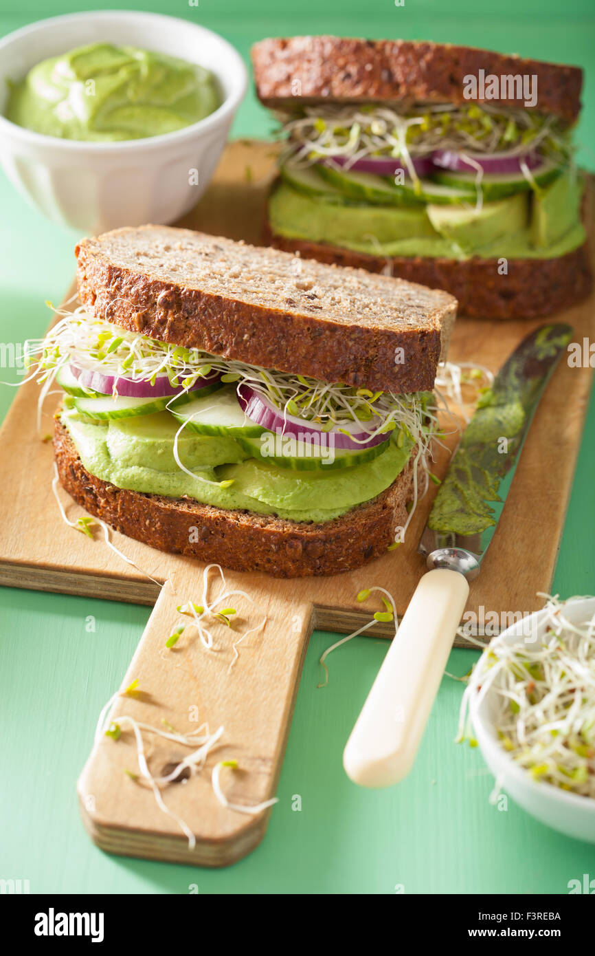 healthy avocado sandwich with cucumber alfalfa sprouts onion Stock ...