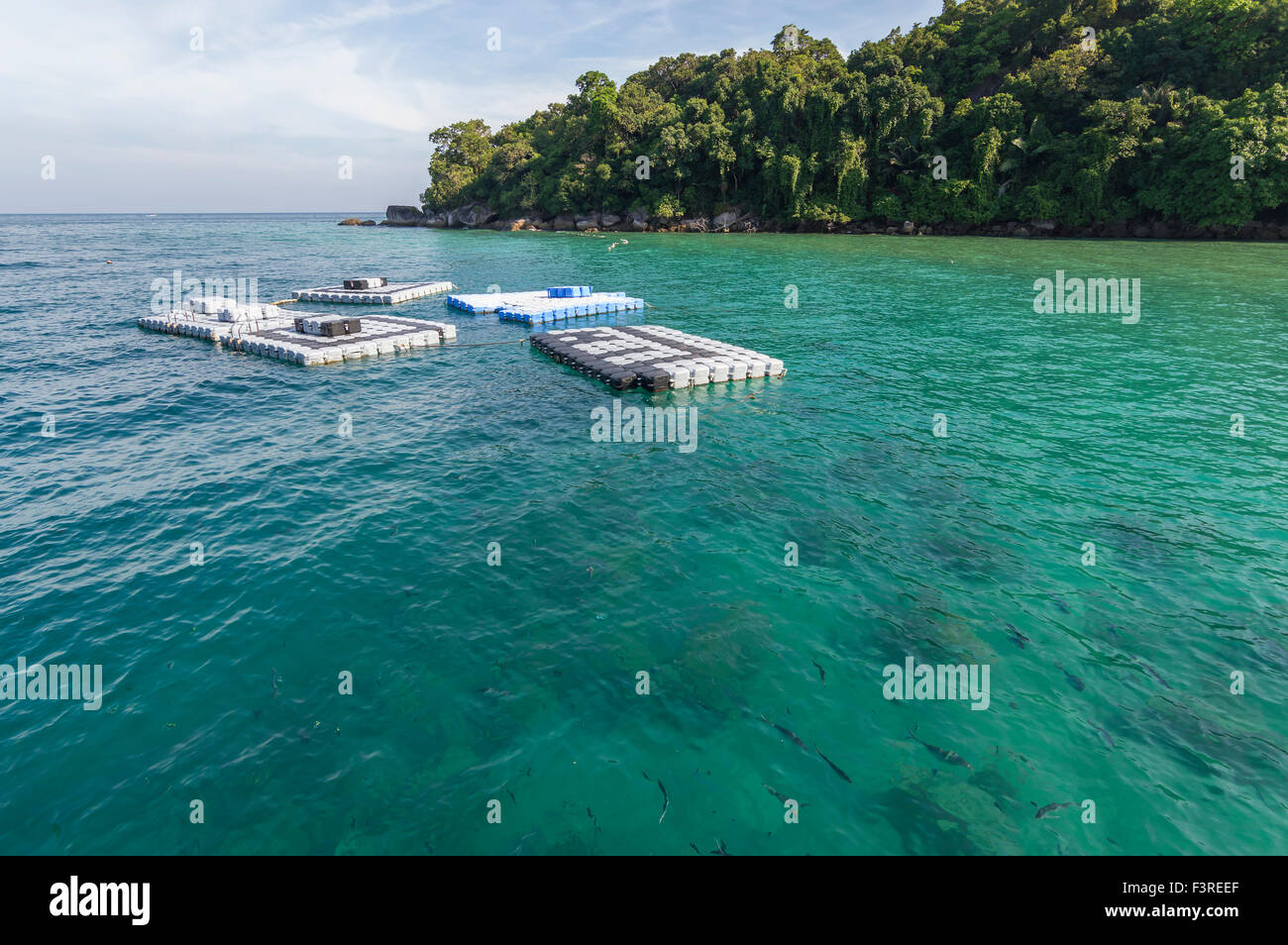 Empty swim platform floating on a lake Stock Photo - Alamy